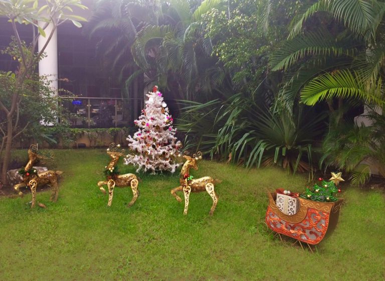 Discover the Christmas decorations at RIU hotels