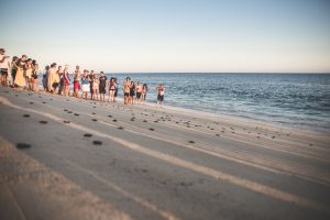 Share the excitement with RIU and witness the release of sea turtles in ...