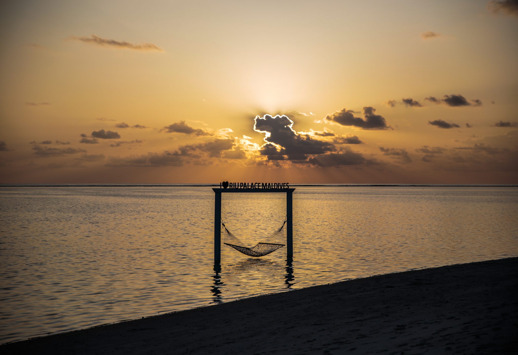 RIU te presenta su proyecto Blue Reef Reforest | Blog RIU.com